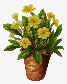 Pink Flowers In Pot Clipart , Free Transparent Clipart - ClipartKey