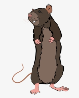 Transparent Rata Png - Cartoon , Free Transparent Clipart - ClipartKey