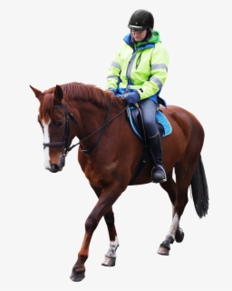 Horse Riding Png Image - Horse Riding No Background , Free Transparent ...