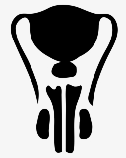 Usa Clipart Unlabeled - Male Reproductive System Unlabeled , Free ...