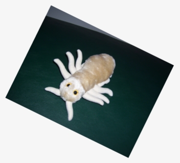 Stuffed Lice - Human Body Louse , Free Transparent Clipart - ClipartKey