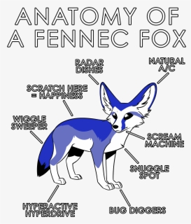 Transparent Fennec Fox Png - Anthro Fennec Fox Oc , Free Transparent ...