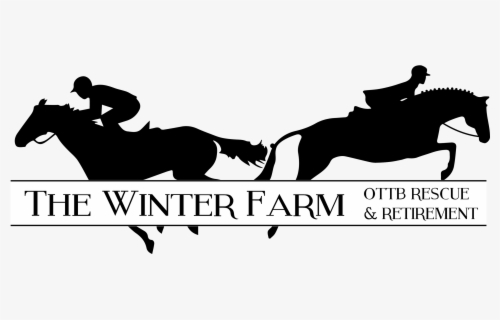 Bedding Barn Logo Png Transparent - Poster , Free Transparent Clipart ...