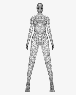 Human Clipart Wireframe - Sexy Woman 3d Wireframe Body Vector , Free ...