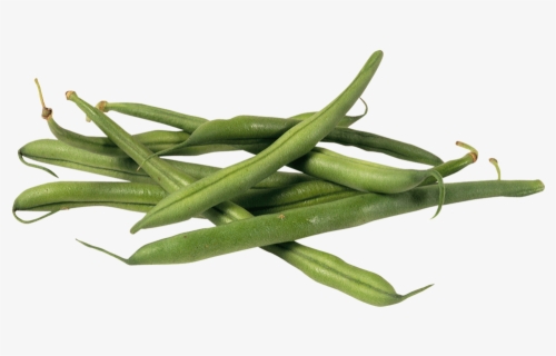 Cute Green Bean Clipart - Cartoon Green Bean Clipart , Free Transparent ...