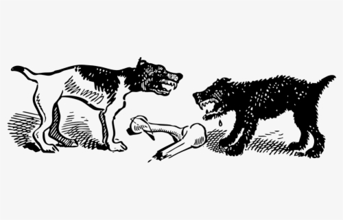 Dogs, Wild, Animals, Angry, Fighting, Bone, Wildlife - Dogs Fighting ...