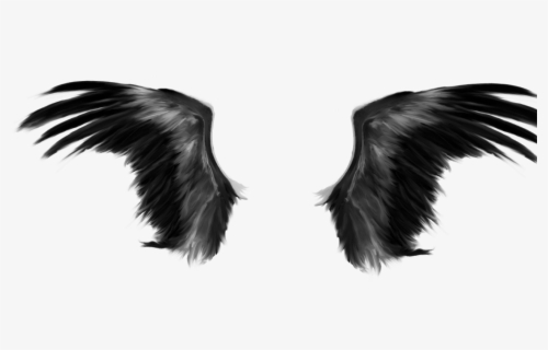 Drawing Edits Picsart - Transparent Background Bird Wing Clipart , Free ...