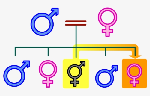 Members Of A Nuclear Family , Free Transparent Clipart - ClipartKey
