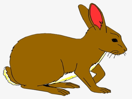 Jack Rabbit Clip Art , Free Transparent Clipart - ClipartKey