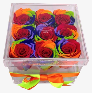 Transparent Rainbow Rose Png - Galaxy Rainbow Rose , Free Transparent ...