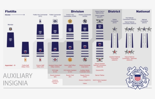Cg Auxiliary Insignias - Coast Guard Auxiliary Ranks , Free Transparent ...