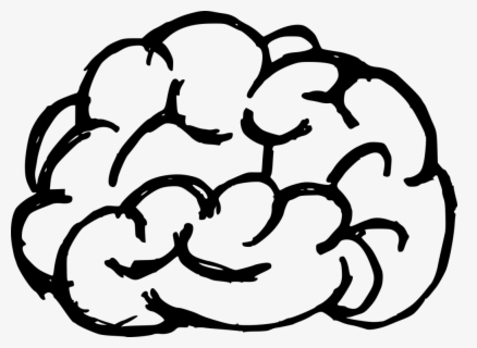 White Drawing Brain - Brain Drawing Transparent Background , Free ...