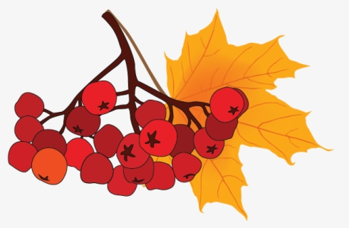 Marvelous Idea Autumn Clipart Fruits And Leaves Png , Free Transparent ...