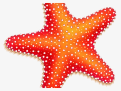 Starfish And Shells Svg Cut File , Free Transparent Clipart - ClipartKey