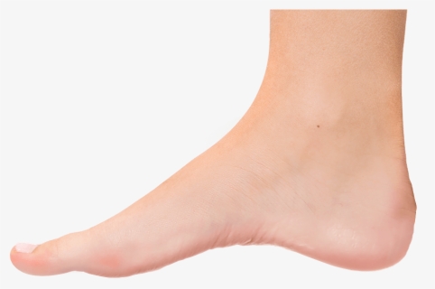 Img - Transparent Foot Png , Free Transparent Clipart - ClipartKey