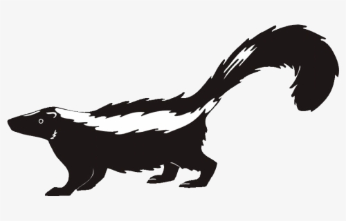 Free Skunk Clip Art with No Background - ClipartKey