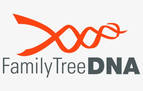 Free Family Tree Clip Art with No Background , Page 3 - ClipartKey