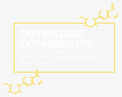 Einstein Clipart Emc2 - Diagram , Free Transparent Clipart - ClipartKey