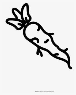 Daikon Radish Coloring Page - Illustration , Free Transparent Clipart ...