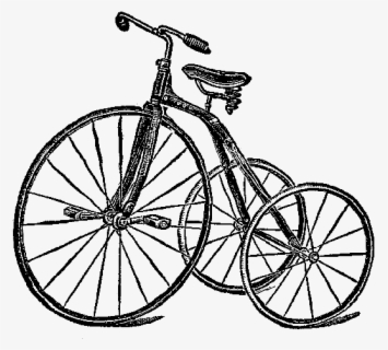 Cute Baby Zebra Cartoon , Free Transparent Clipart - ClipartKey