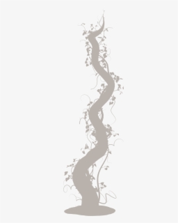Black And White Beanstalk , Free Transparent Clipart - ClipartKey