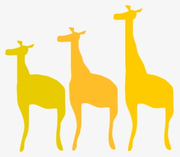 Evolution Transparent Natural Selection - Evolution By Natural ...