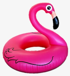 Flamingo Inflatable Pool Summer - Flamingo Pool Float Png , Free ...