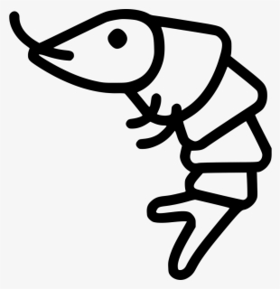 Free Shellfish Clip Art with No Background - ClipartKey