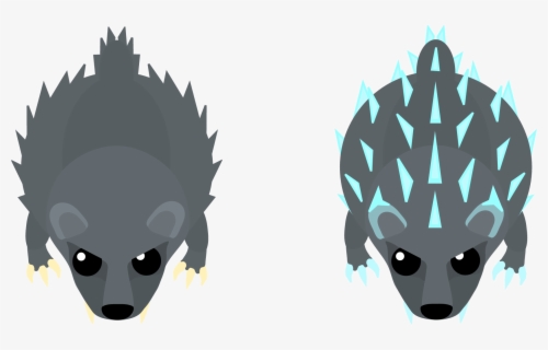 Procyon , Free Transparent Clipart - ClipartKey