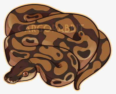 Cute Ball Python Art , Free Transparent Clipart - ClipartKey