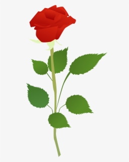 Long Stemmed Rose Clip Art , Free Transparent Clipart - ClipartKey