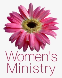 Sda Women's Ministries Logo , Free Transparent Clipart - ClipartKey