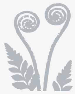 Transparent Fern Clipart - Silver Fern Tree Drawing , Free Transparent ...