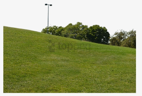 Download New Textures Billboard Grass - Grass Texture Unity Png ...