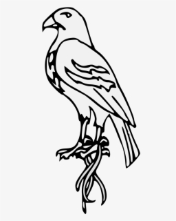 Falcon Line Drawing At Getdrawings Falcon Flying Clipart- - Easy ...