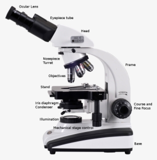 Transparent Stereo Clipart - Microscope Labeled Mechanical Stage , Free ...