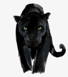 Transparent Images Pngio - Transparent Background Panther Transparent ...