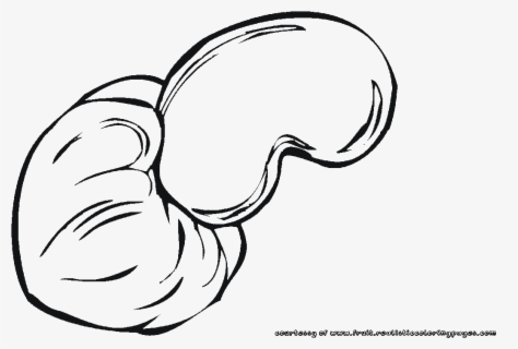 Cashew Coloring Pages Printable - Cashew Clipart Black And White T ...