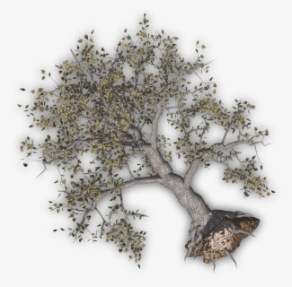 Tree Log Fallen - Cartoon Log Transparent Background , Free Transparent ...