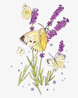 Lavender Butterfly Clipart - Transparent Background Butterfly Clipart ...