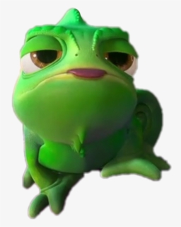 Disney Pascal Png - Pascal Tangled , Free Transparent Clipart - ClipartKey