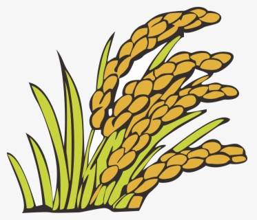 Wheat Clipart Bunga Padi - Vector Laurel Wreath , Free Transparent ...