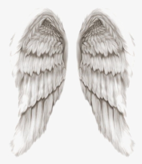Angel Wings Clipart Traceable - Angel Wings Outline Png , Free ...