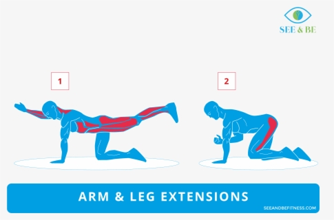 Tuck Jump Muscles Worked , Free Transparent Clipart - ClipartKey