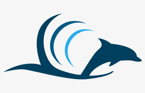 Tidewater Tours Logo Dolphin In A Wave , Free Transparent Clipart ...