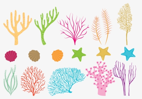 Vector Coral Reef Svg , Free Transparent Clipart - ClipartKey