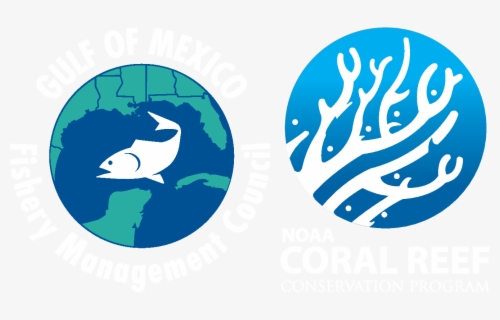 Vector Coral Reef Svg , Free Transparent Clipart - ClipartKey