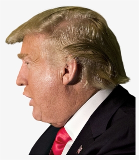 Hd Donald Trump Side View Png - Trump Side View Png , Free Transparent ...