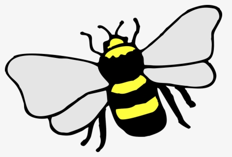 Transparent Bumblebee Insect Clipart - Simple Bee Drawing Transparent ...