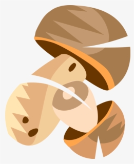 Transparent Toadstool Png - Illustration , Free Transparent Clipart ...